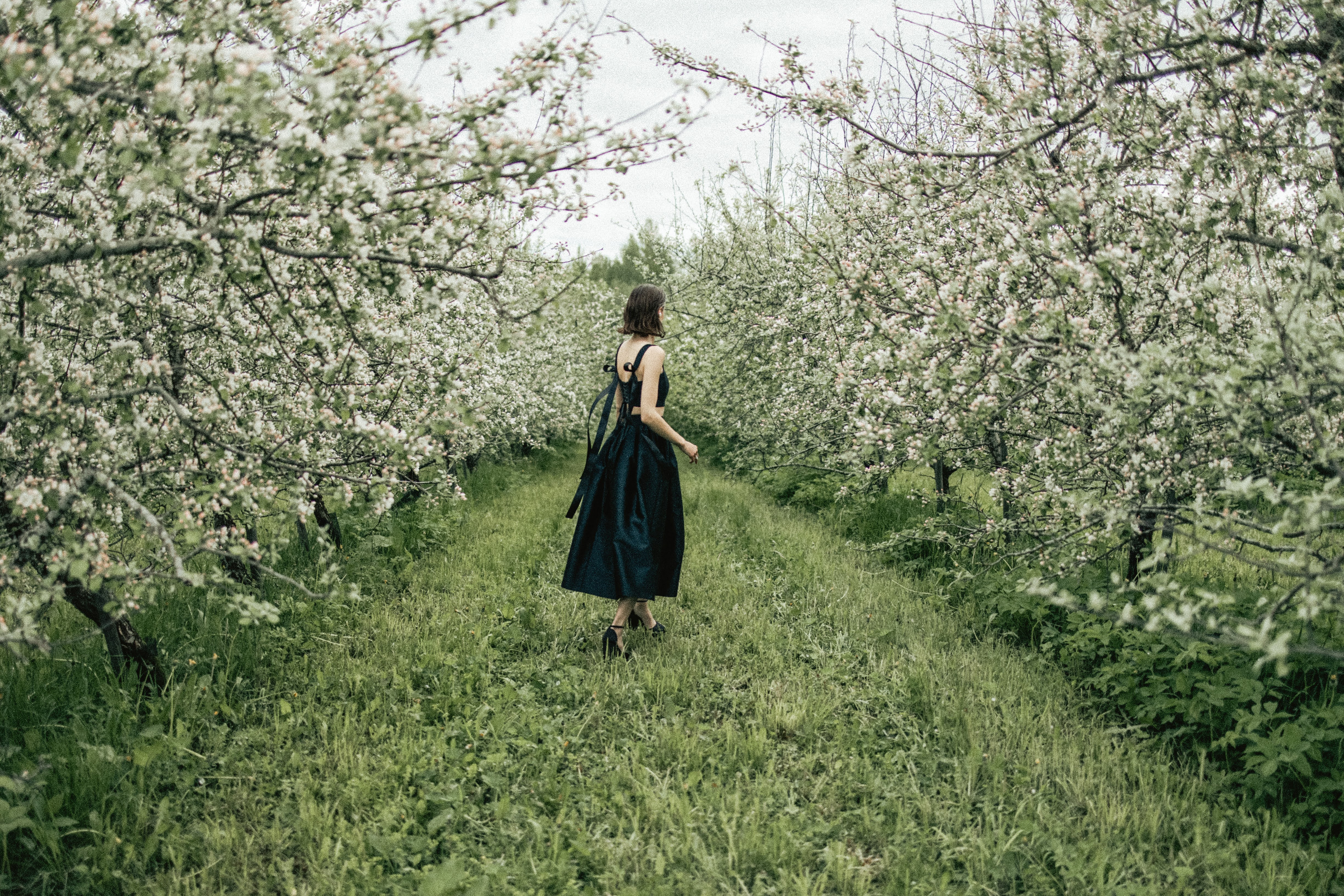 Granny Smith – Lilli Jahilo